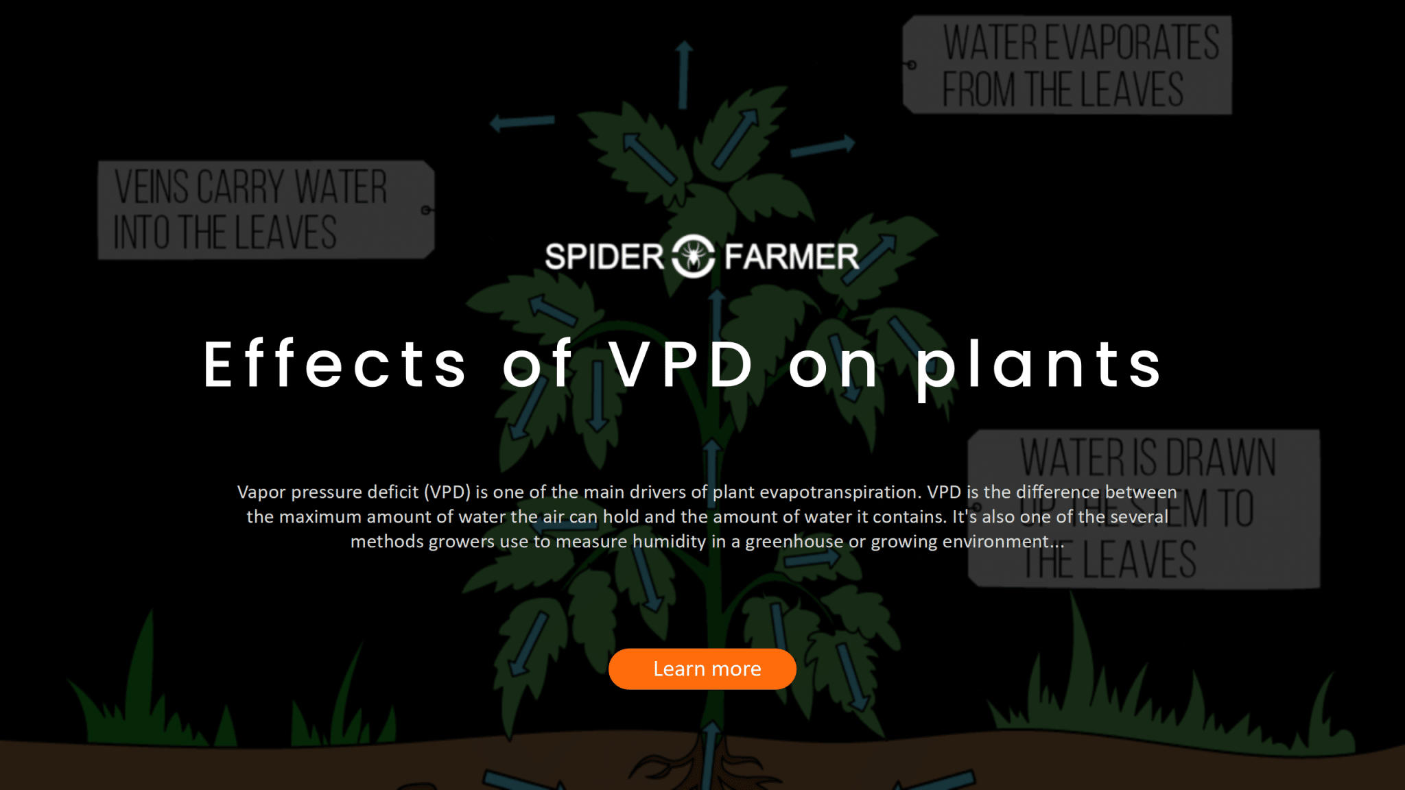 Effects of Vapor Pressure Deficit(VPD) on plants - Spider Farmer CA