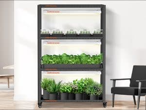 Spider Farmer® 3 Tiers Metal Plant Stand with Plant Trays - Spider ...