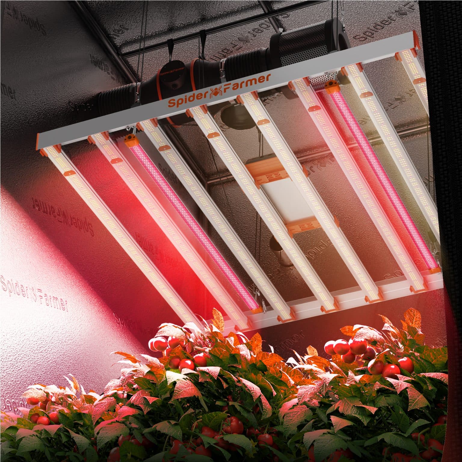 Led Grow Light - Spider Farmer CA