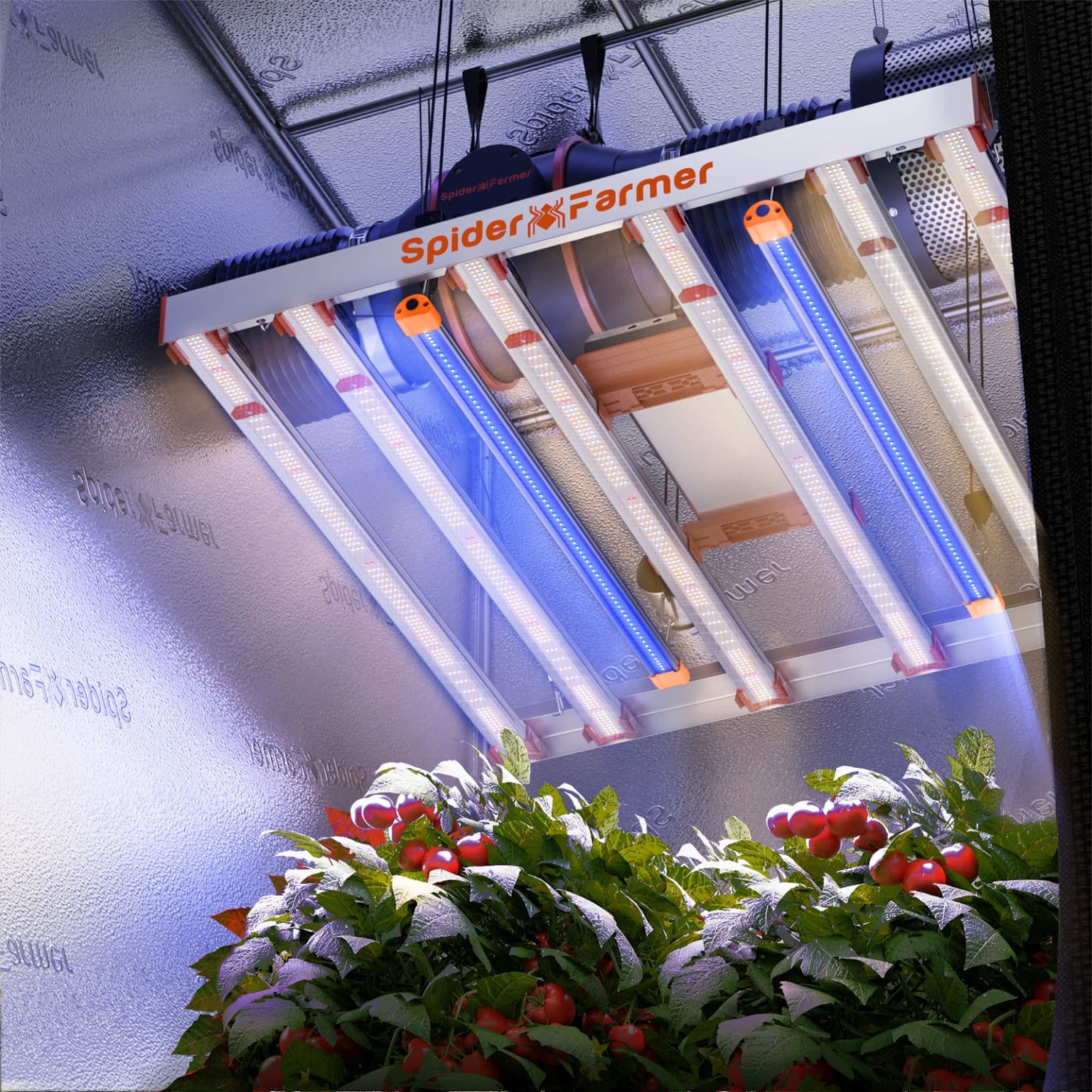 Led Grow Light - Spider Farmer CA